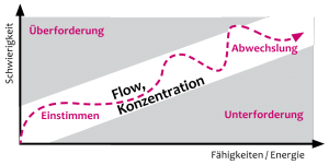 Geniale FLOW-Erlebnisse: Das Geheimnis des Glücks >